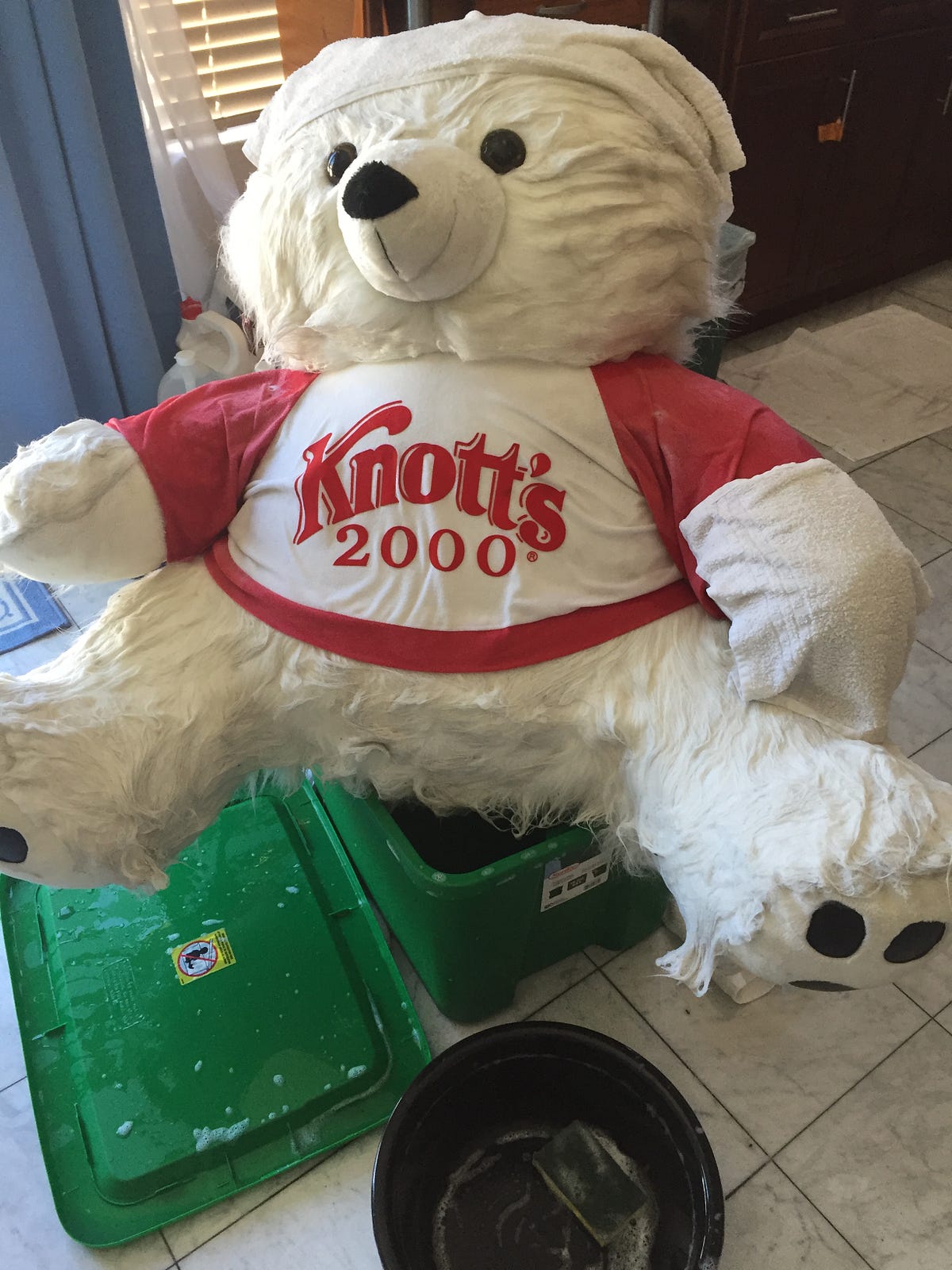 Blogmas Day 12 | Cleaning a Giant Stuffed Animal | by CatHERine | Medium