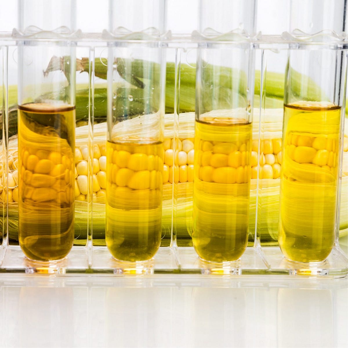 The ingredient of our downfall. By Nishtha Bhakta | by Nishtha Bhakta ...