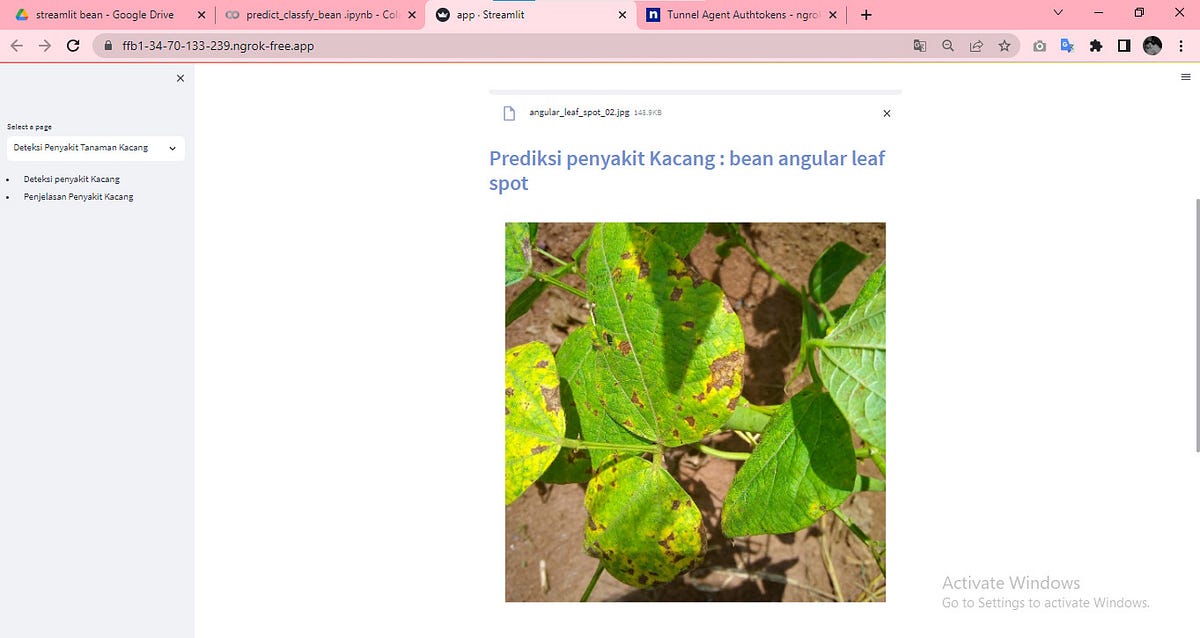 Deep Transfer Learning DenseNet121 Model for Bean Disease Classify | by Silvia Rahma | Medium
