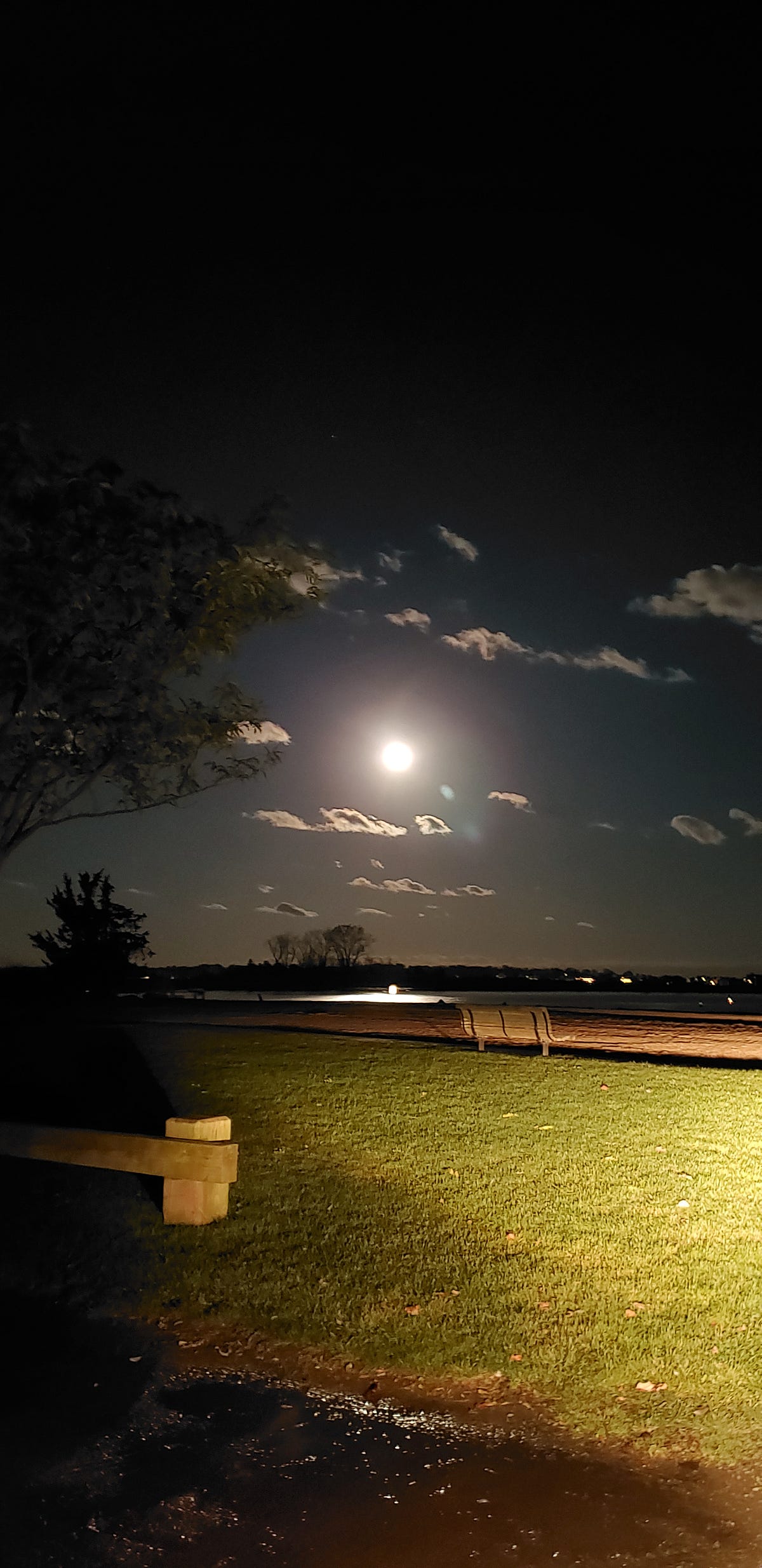 worm moon. waiting for spring | by Jean Elizabeth Glass | Lifeline | Medium