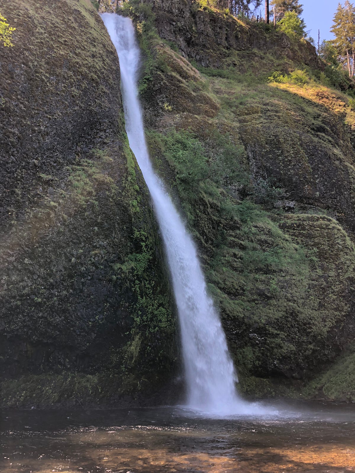 The Third Week of June 2024 | by Kristina Pulford | Jun, 2024 | Medium