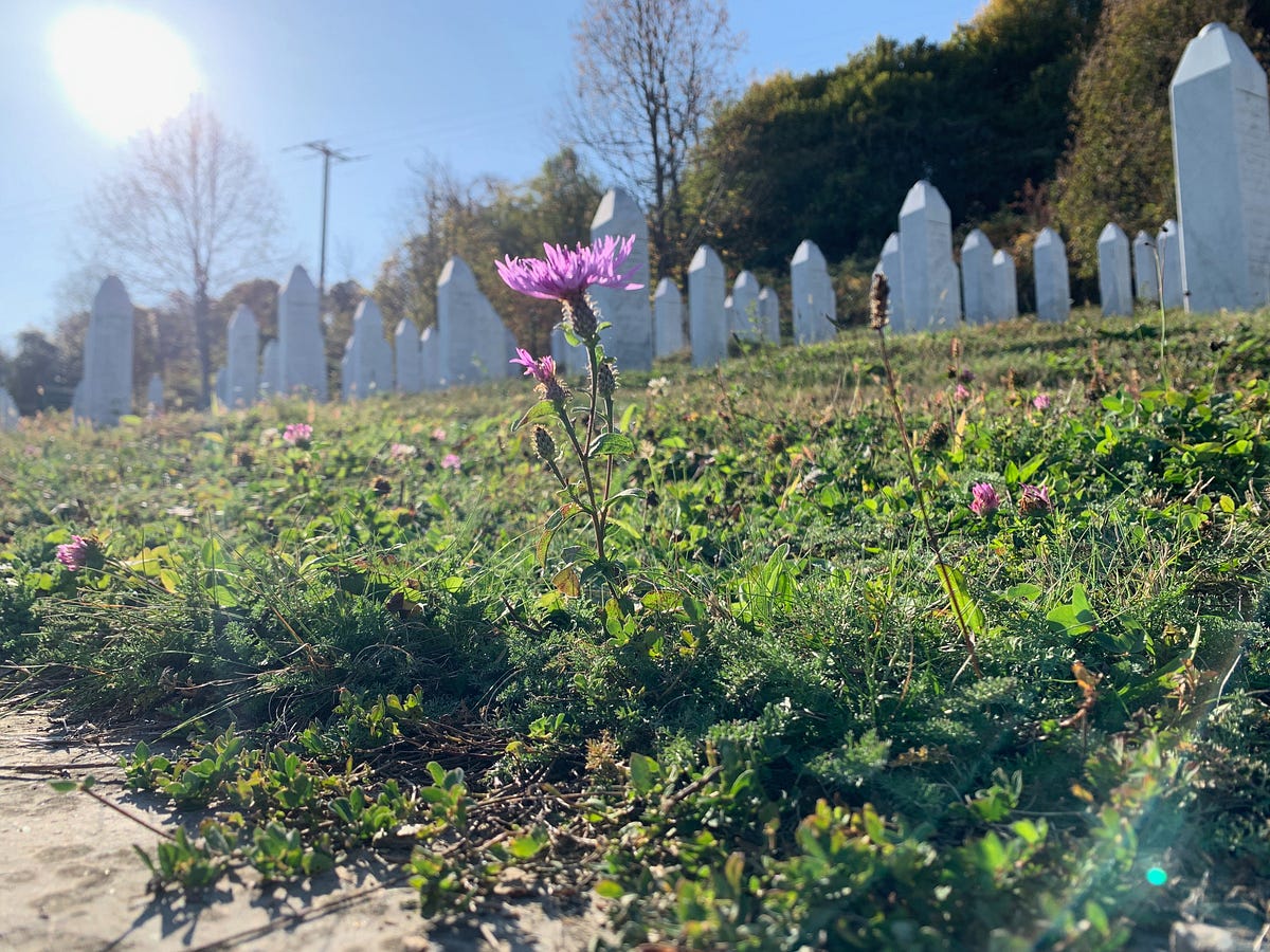 Bosnia: Remembering Those We Never Knew | by Zach Goodwin | Zach ...
