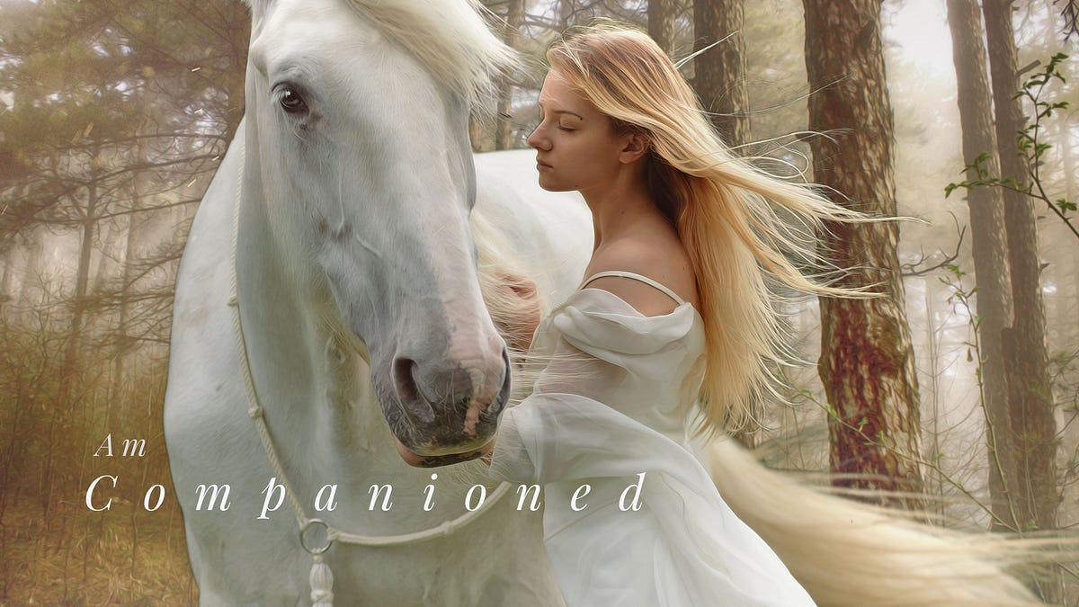 Am Companioned - Inevitable Word - Medium