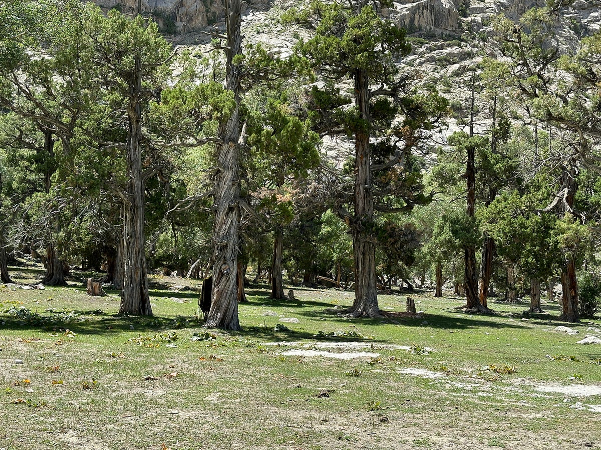 Ishkoman Vally ( Sokhtar abad jungle, Imit Village and Surroundings ...