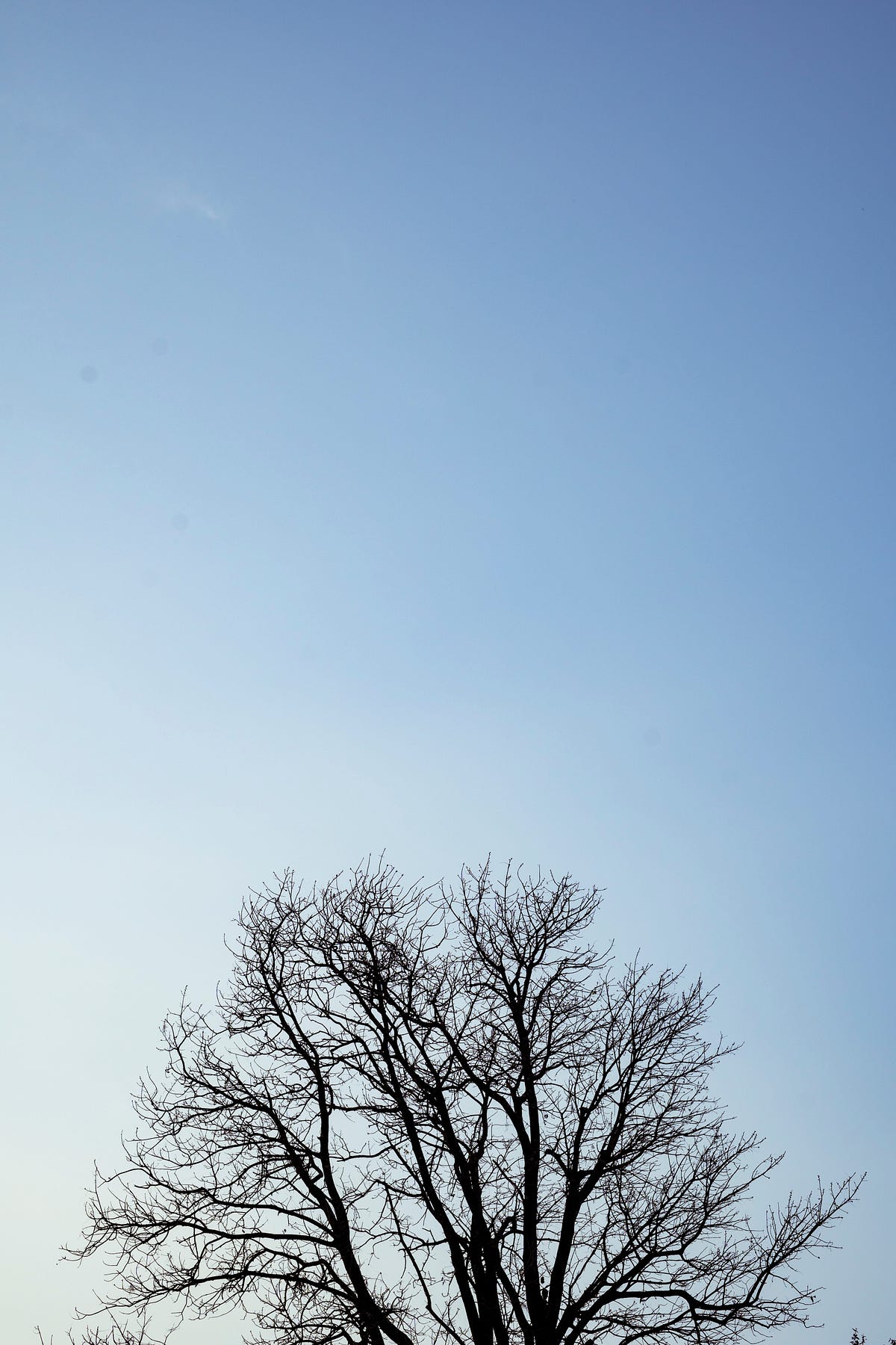 Autumn Sky. A Poem About Wistful Epiphanies | by Dee T. | Medium