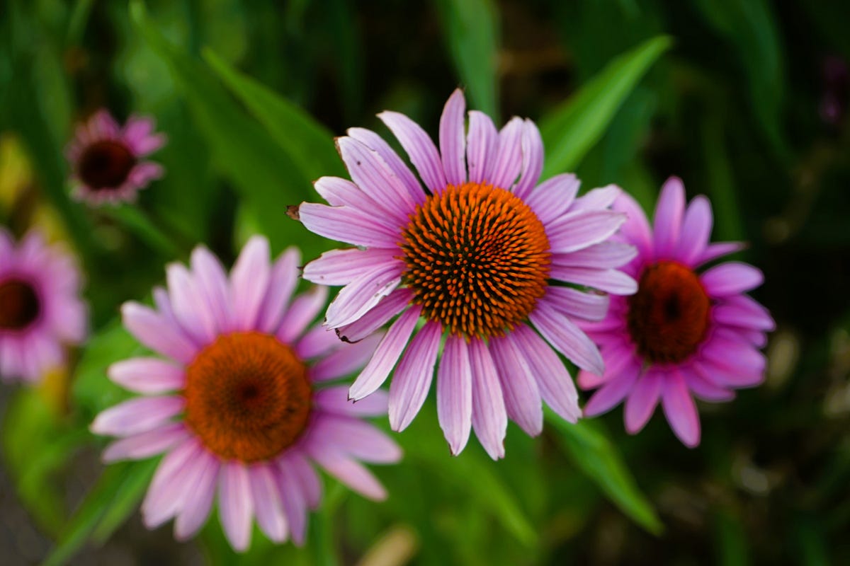 3 Reasons Mindful Self-Talk Can Help You Remain Steady and Composed in ...