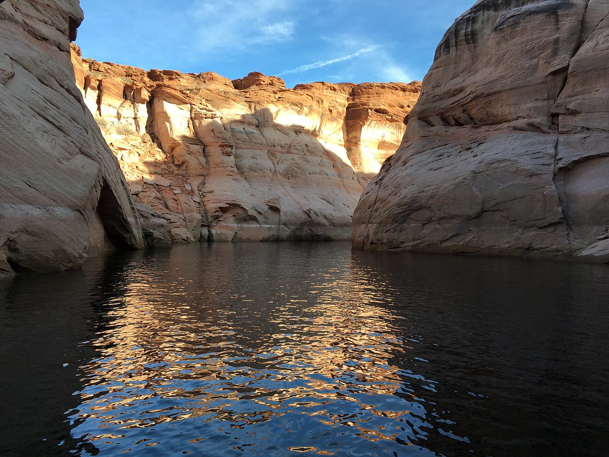 Python Package to Create Bar Chart Race | by Krunal | Medium