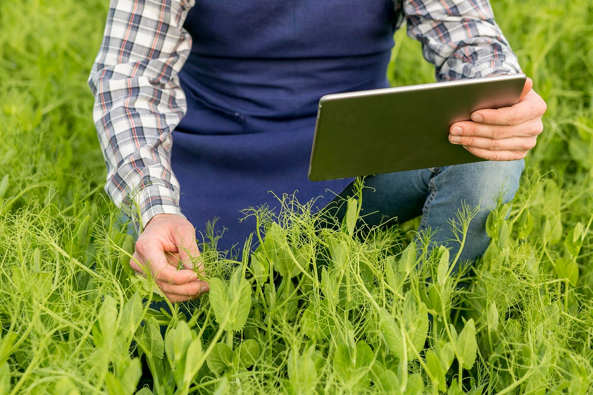 XGain | Bridging the Digital Divide with Inclusivity and Sustainability ...