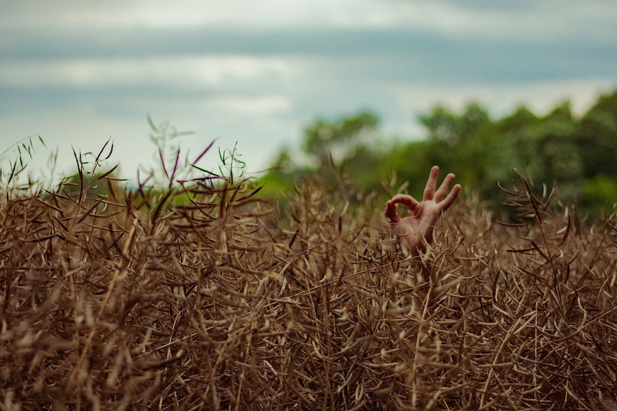 The 3 Stages of Mental Transformation: A Guide to Changing Your Habits ...
