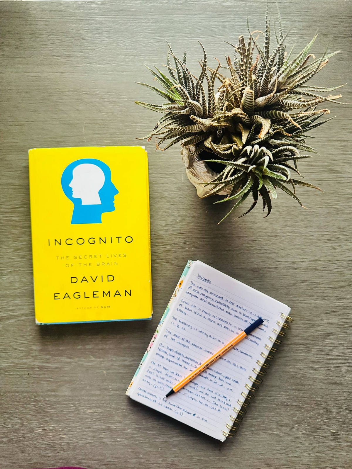BOOK REVIEW:. Incognito by David Eagleman | by Thoughtistry | Medium
