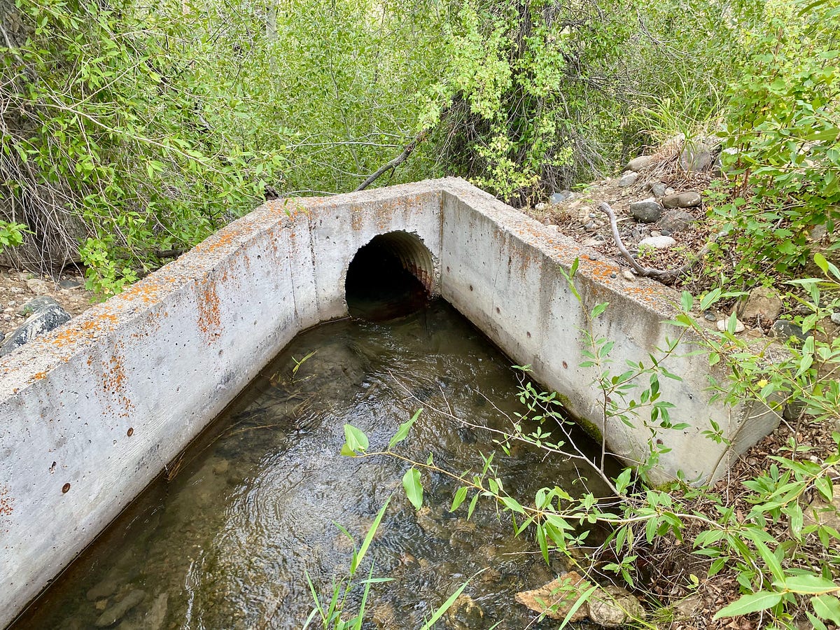The Siphon. I hike across the pasture to the edge… | by Philip Brittan ...
