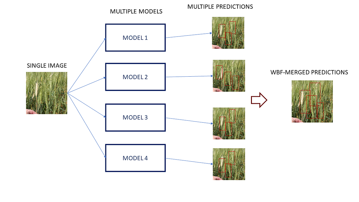 Weighted Boxes Fusion — A detailed view | by Sambasivarao. K | Analytics Vidhya | Medium