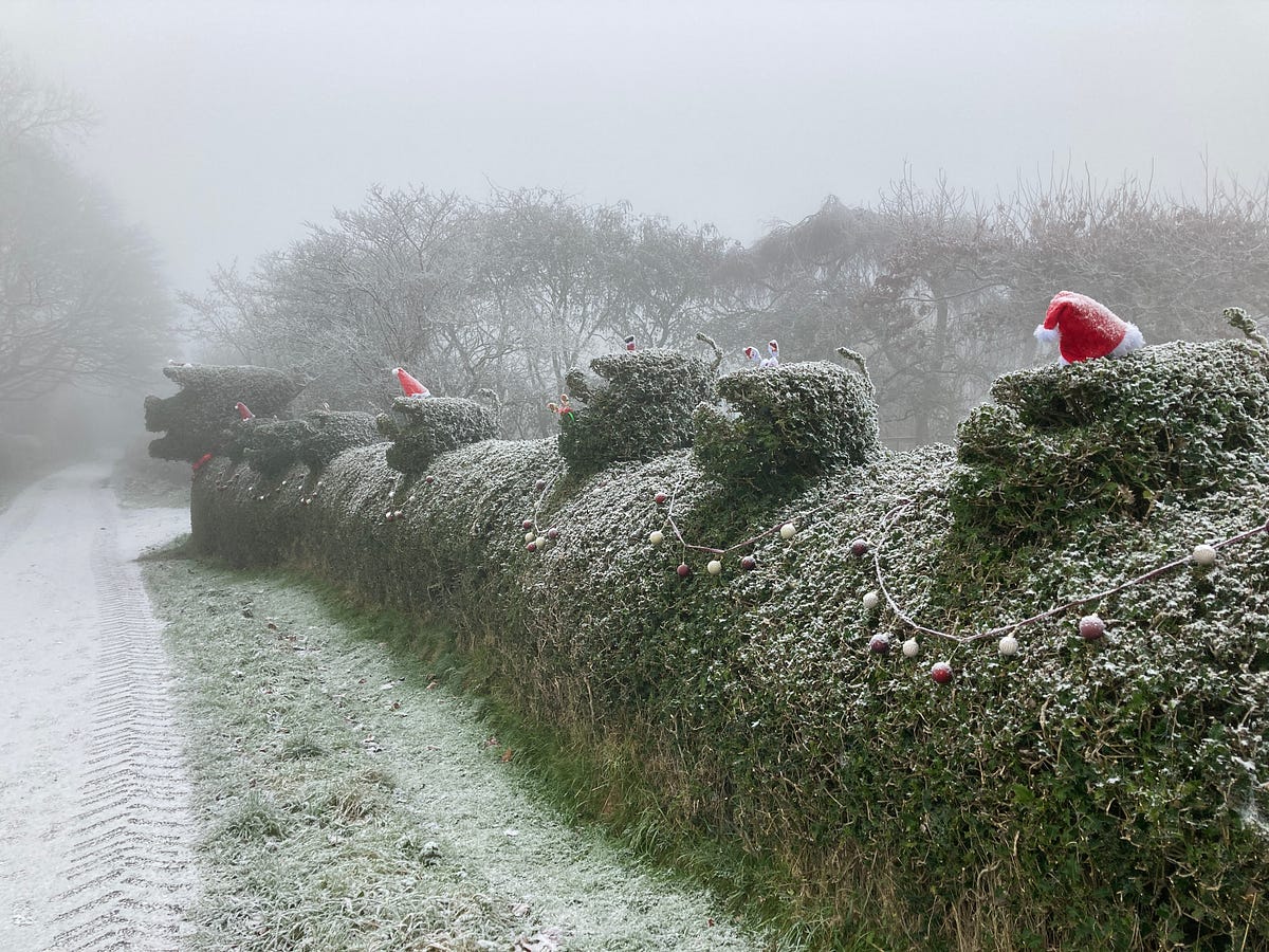 Pig Topiary - The Shortform - Medium