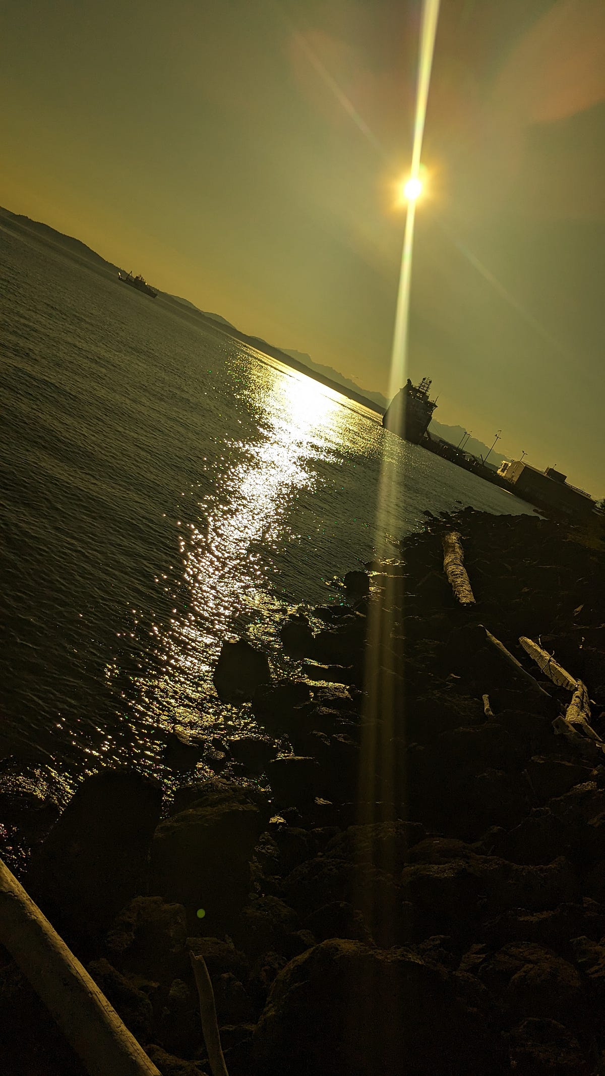 Dawn Day Divine. Sounds around the Sound | by Brandün Waller | The Lark ...
