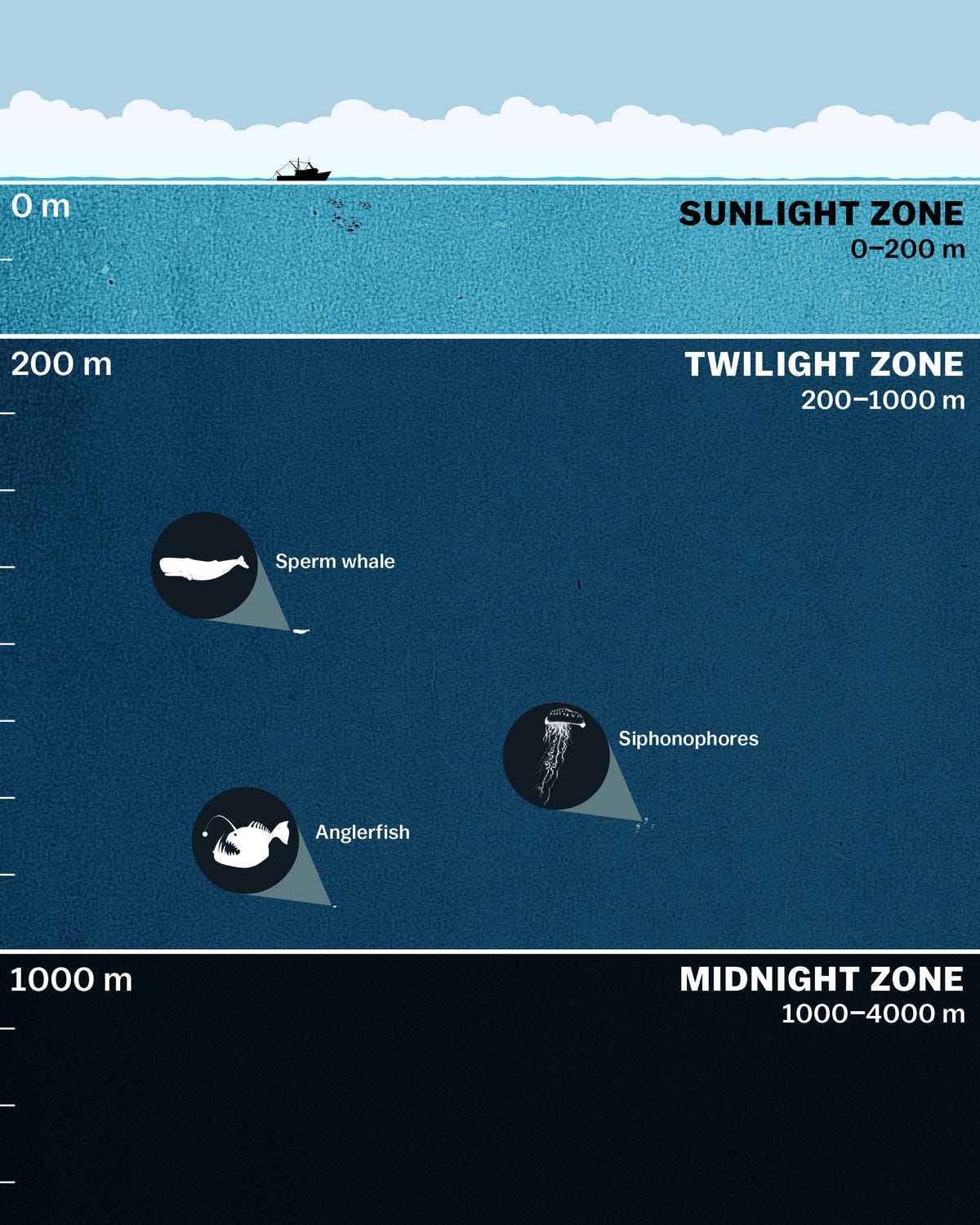 Can the Ocean’s Twilight Zone Power Our Future? | by Aadi Gupta | Medium