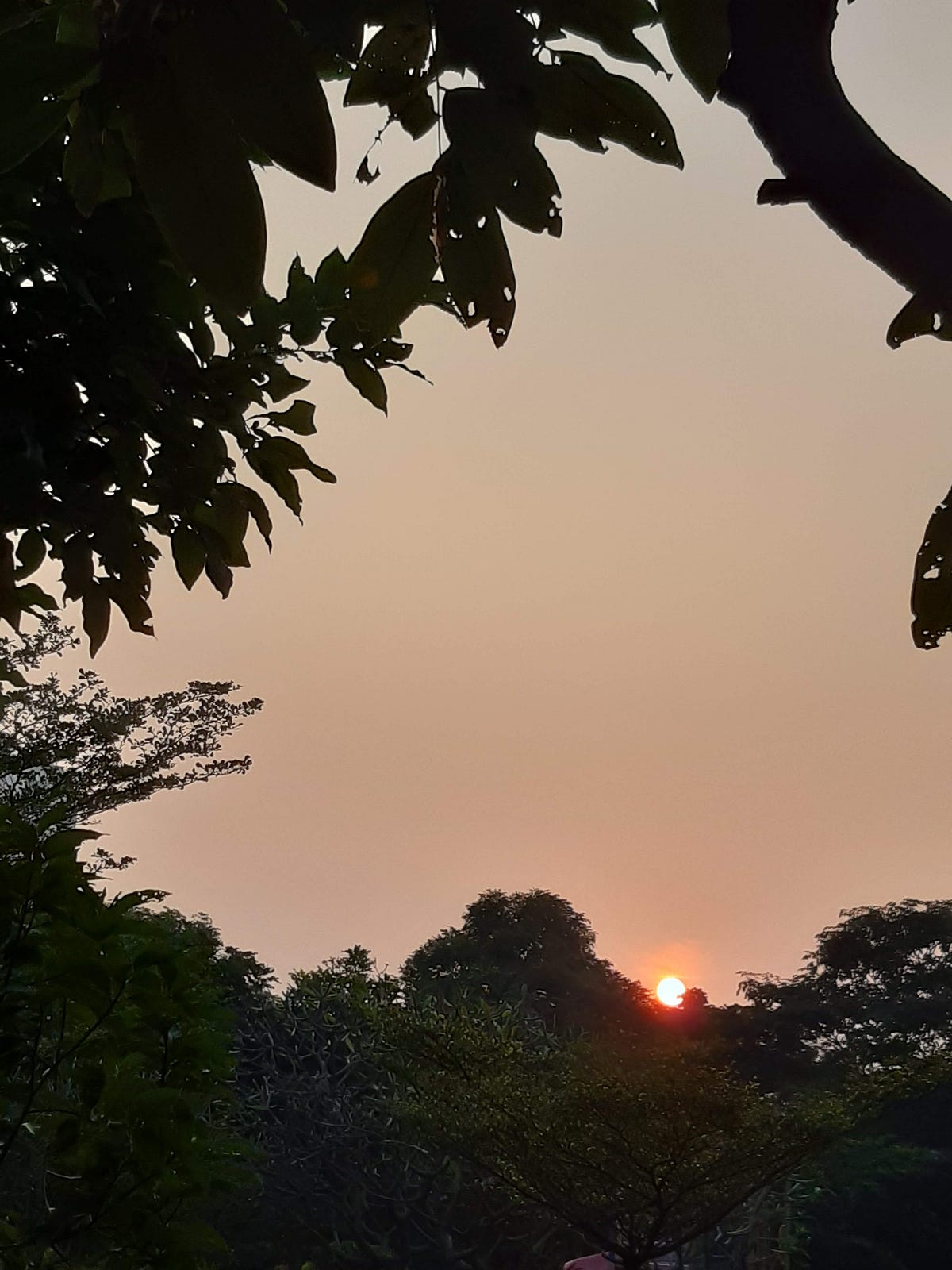 A Bit of Fire. Of Generosity, and Gratitude | by Suma Narayan ...