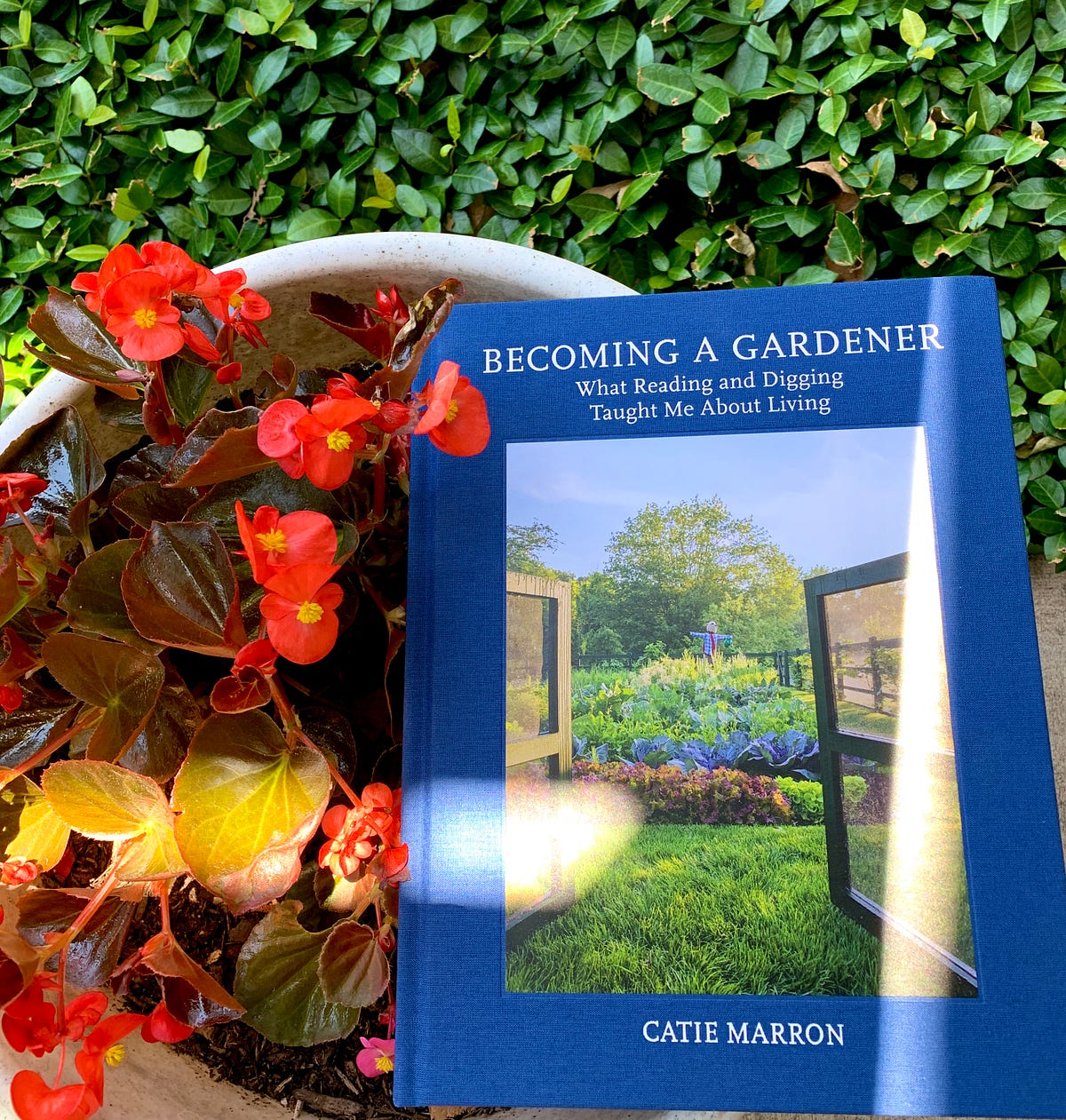 Becoming A Gardener, What Reading and Digging Taught Me About Living by ...