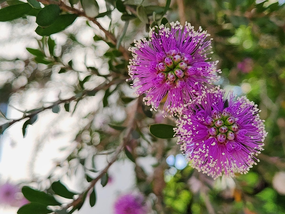 Accepting is not condoning…. Being at peace on our journey | by Siow ...