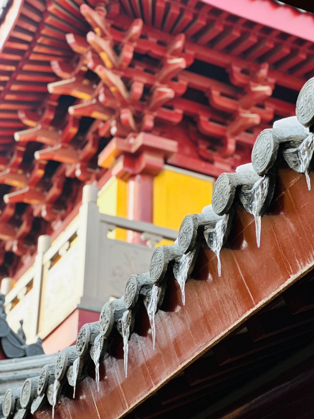 Daodejing Chapter 27: Value Your Teachers | by Paul Dotta | Medium