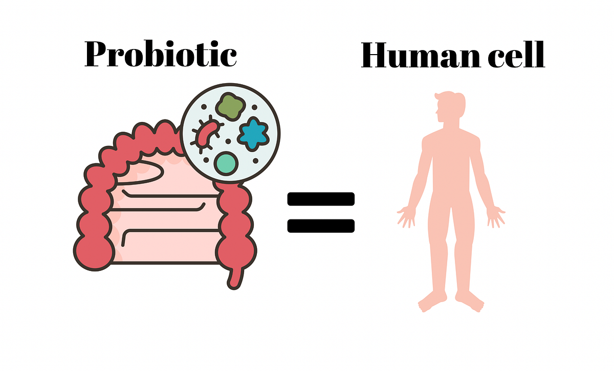Embracing the Microbiome: A Guide to Incorporating Microbiotics into ...