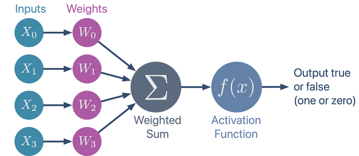 Perceptron 101: The building blocks of a neural network | by matthew weaver | Jul, 2023 | Medium