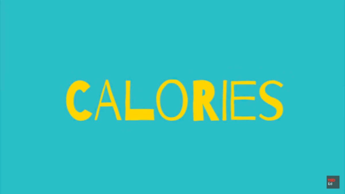 What exactly is the calorie?. We hear this magic word Calorie in… | by ...