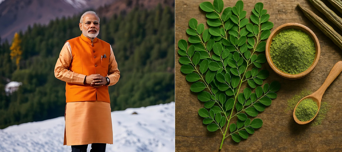 I Found PM Modi’s Winter Secret: The Vegetable That Keeps Him Fit Past ...