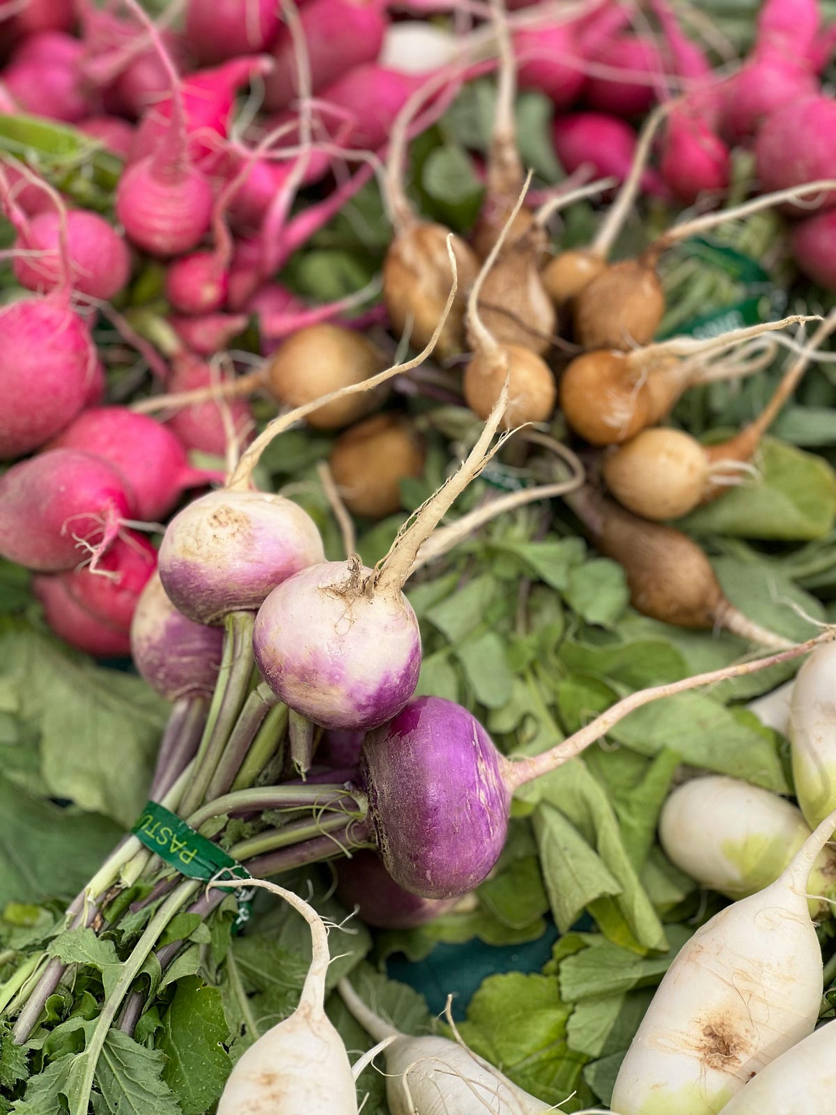 The benefits of Turnip. Belong is a type of vegetable. Which is… | by ...