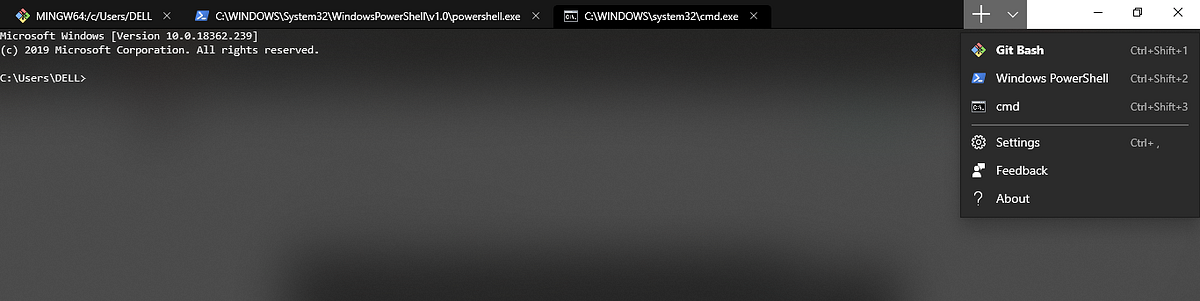 Testing out the New “Windows Terminal app” (Updated) | by Rohit Shirke ...