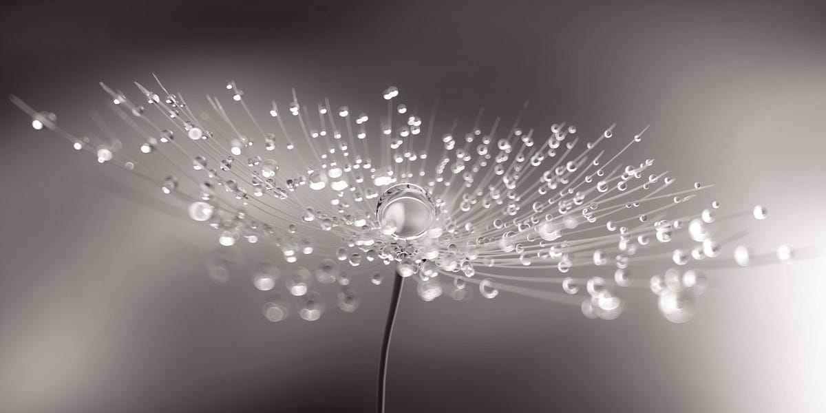 The eight aesthetic senses deeply rooted in Japanese culture are — “mi ...