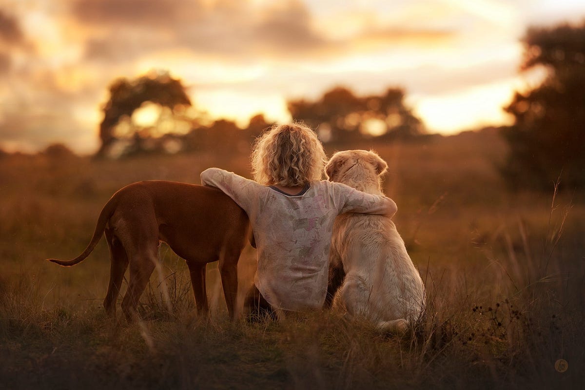 Dog bad Behavior Problem quickly solved by expert Dog Training Online ... Dog bad Behavior Problem quickly solved by expert Dog Training Online ...