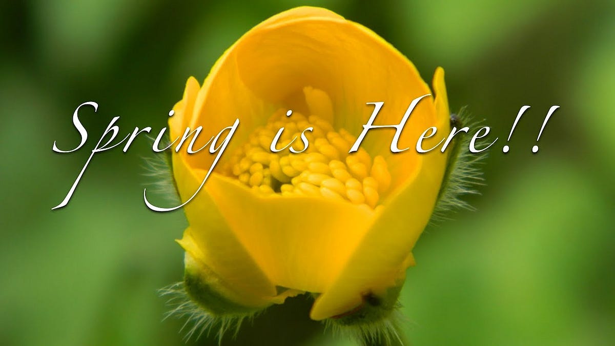 Shift into Spring: It’s Time to Shift & Spring Forward into a New ...