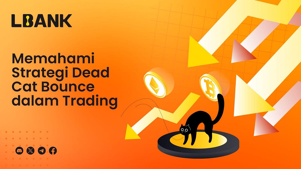 Memahami Strategi Dead Cat Bounce dalam Trading | by LBank Indonesia | LBank Indonesia | Medium
