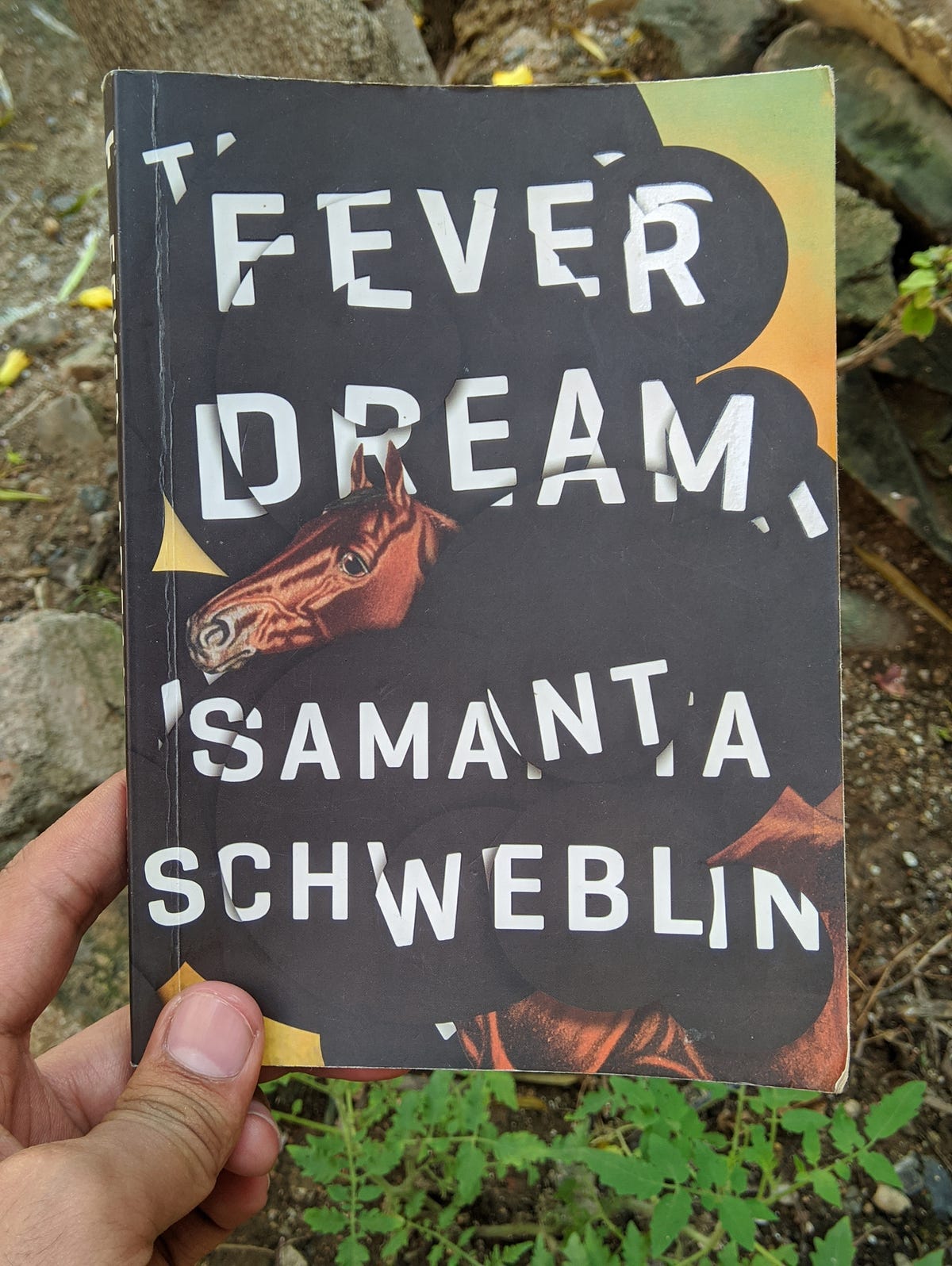 Book Review: ‘Fever Dream' by Samanta Schweblin | by Ashutosh Dubey ...