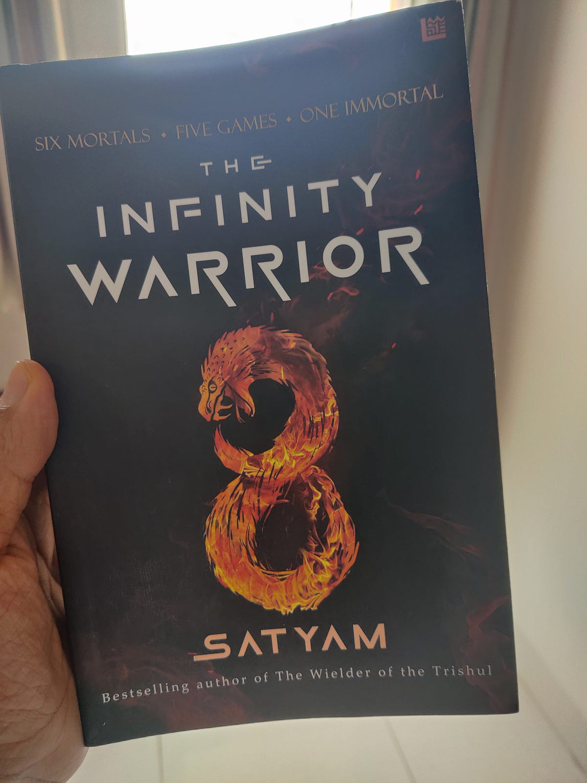 The Infinity Warrior Book Review By Scripted Sagas Medium