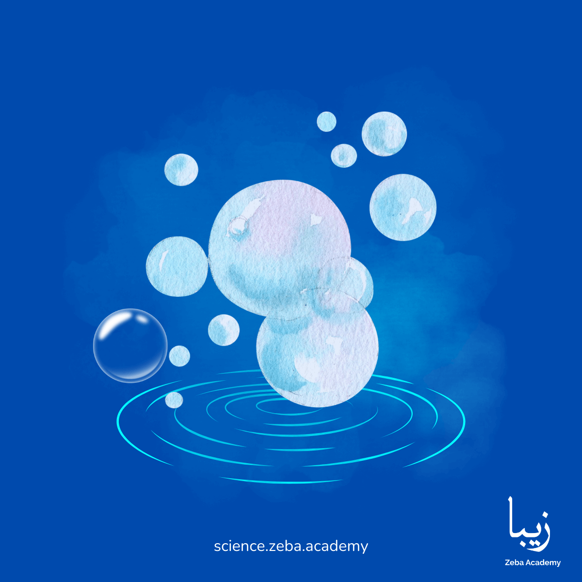 Water Wonders: Exploring Oceans, Rivers, and the Water Cycle | by Zeba ...
