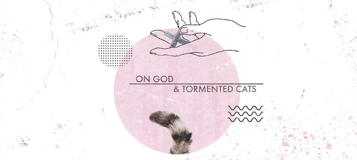 ON GOD & TORMENTED CATS. I was riding my bike on a trail between… | by Yannick S'Jongers | Medium