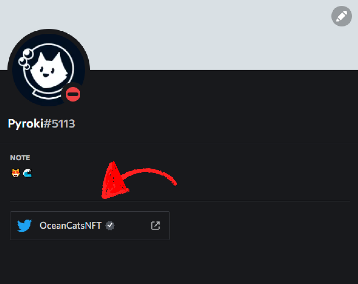 How to connect your twitter to your discord account. - Ocean Cats - Medium