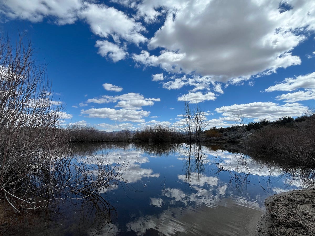 Pond Water Becomes a Mirror. April Six Word Photo Story Challenge… | by ...