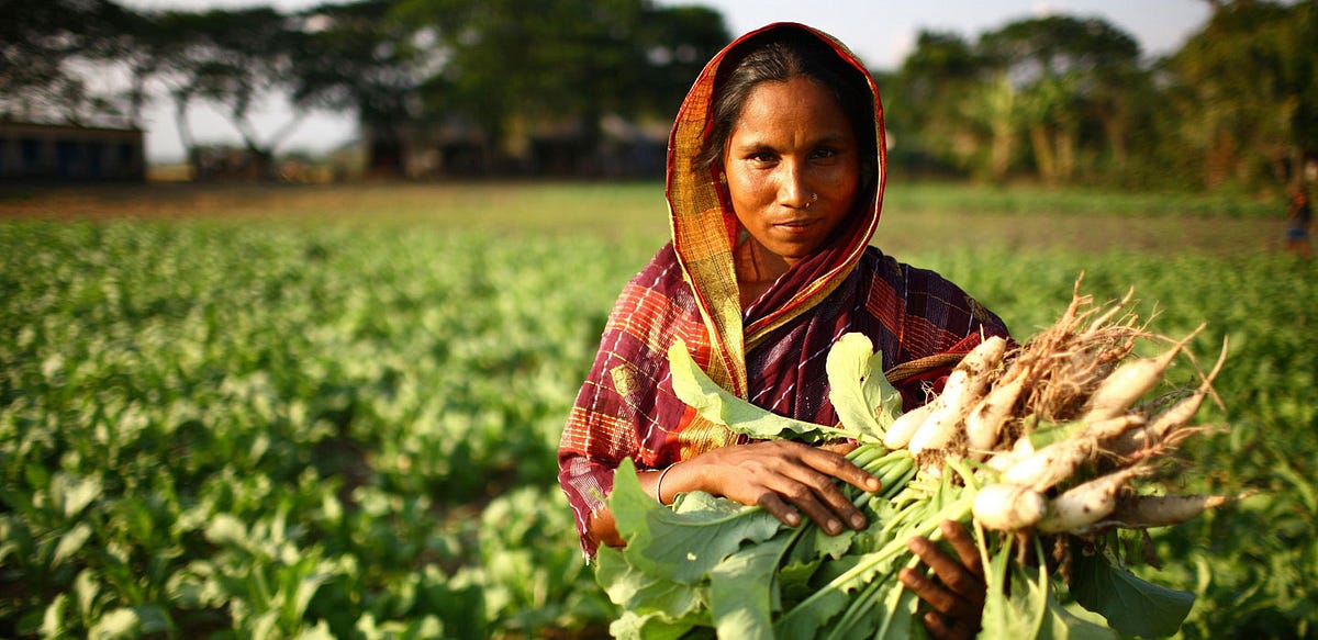 Small Family Farmers: The Unsung Heroes of the Global Food System | by ...