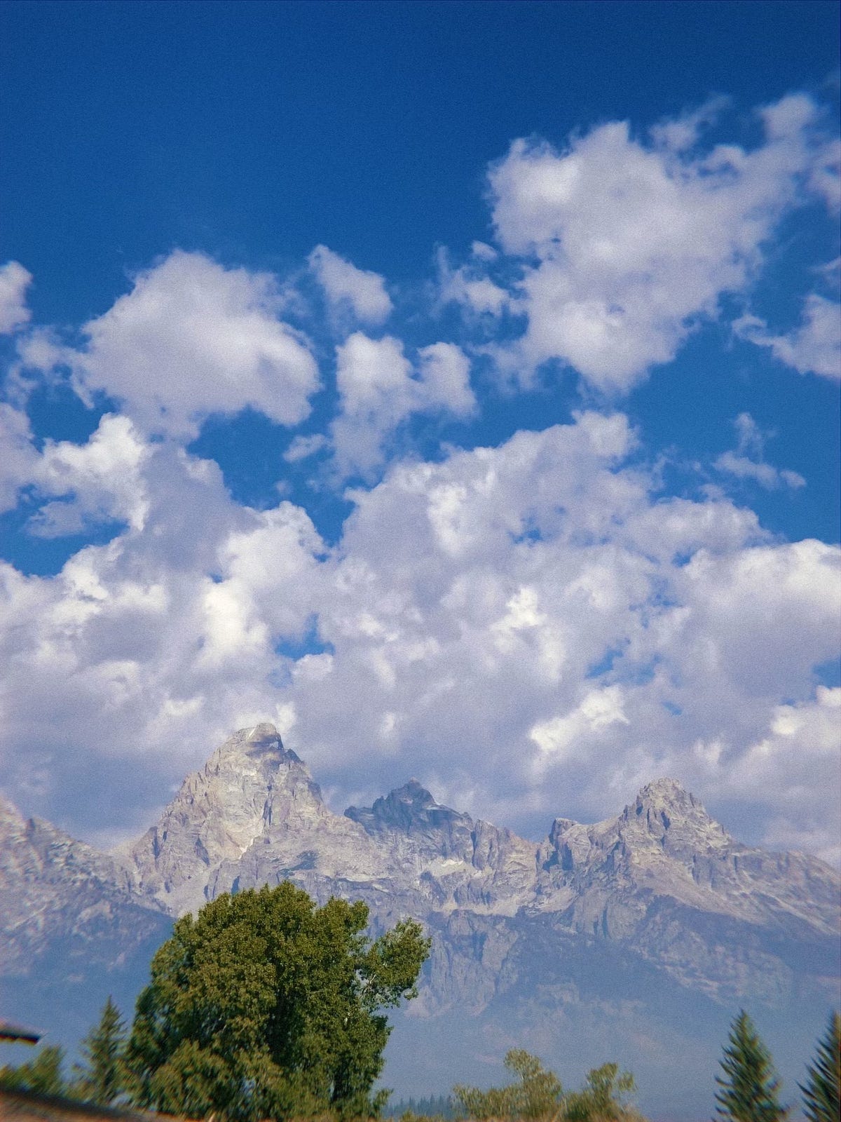 Looking inwards to go upwards. Self help books are the bane of my… | by ...