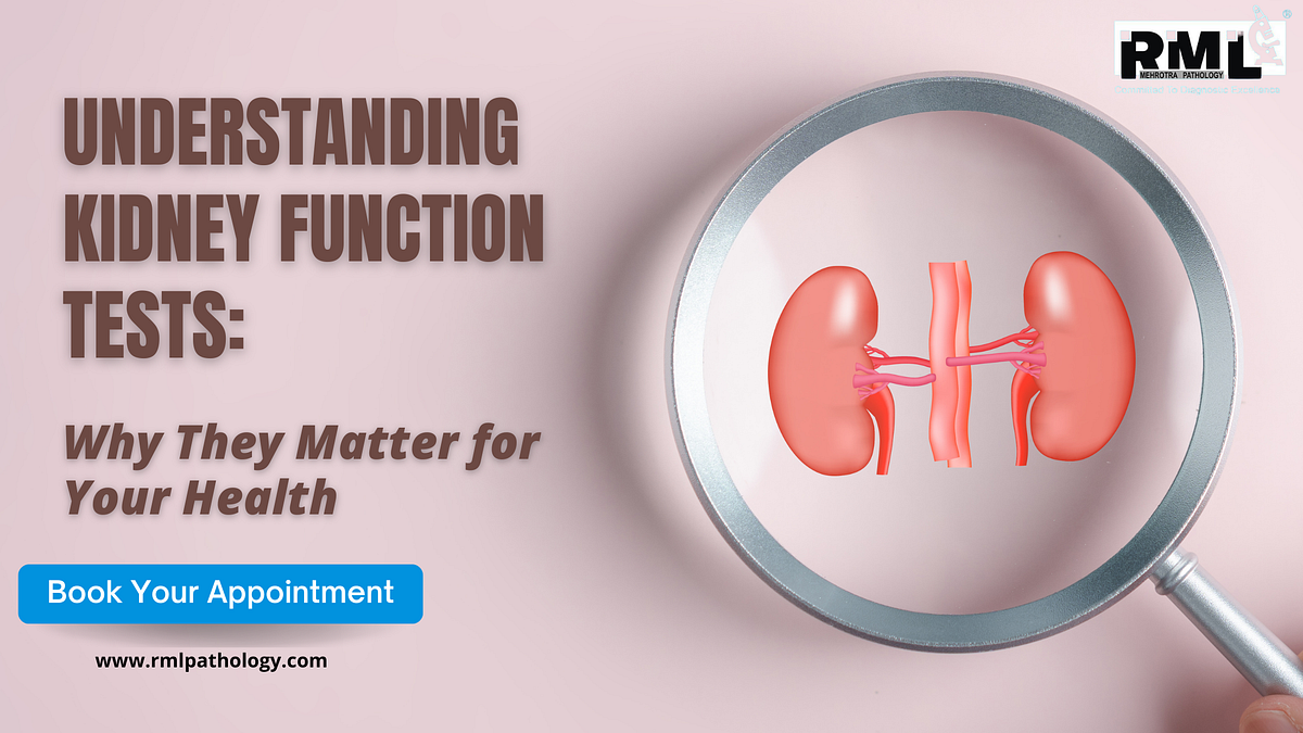 Understanding Kidney Function Tests: Why They Matter for Your Health ...