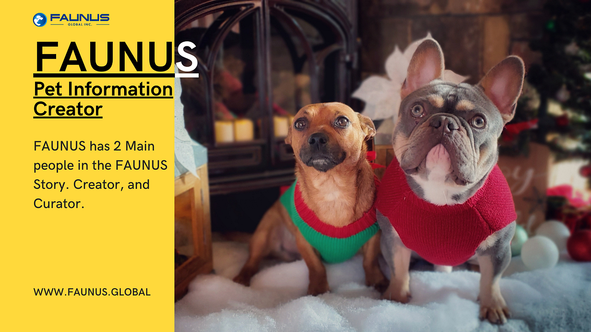 FAUNUS Pet Information Curator - FAUNUS Global - Medium