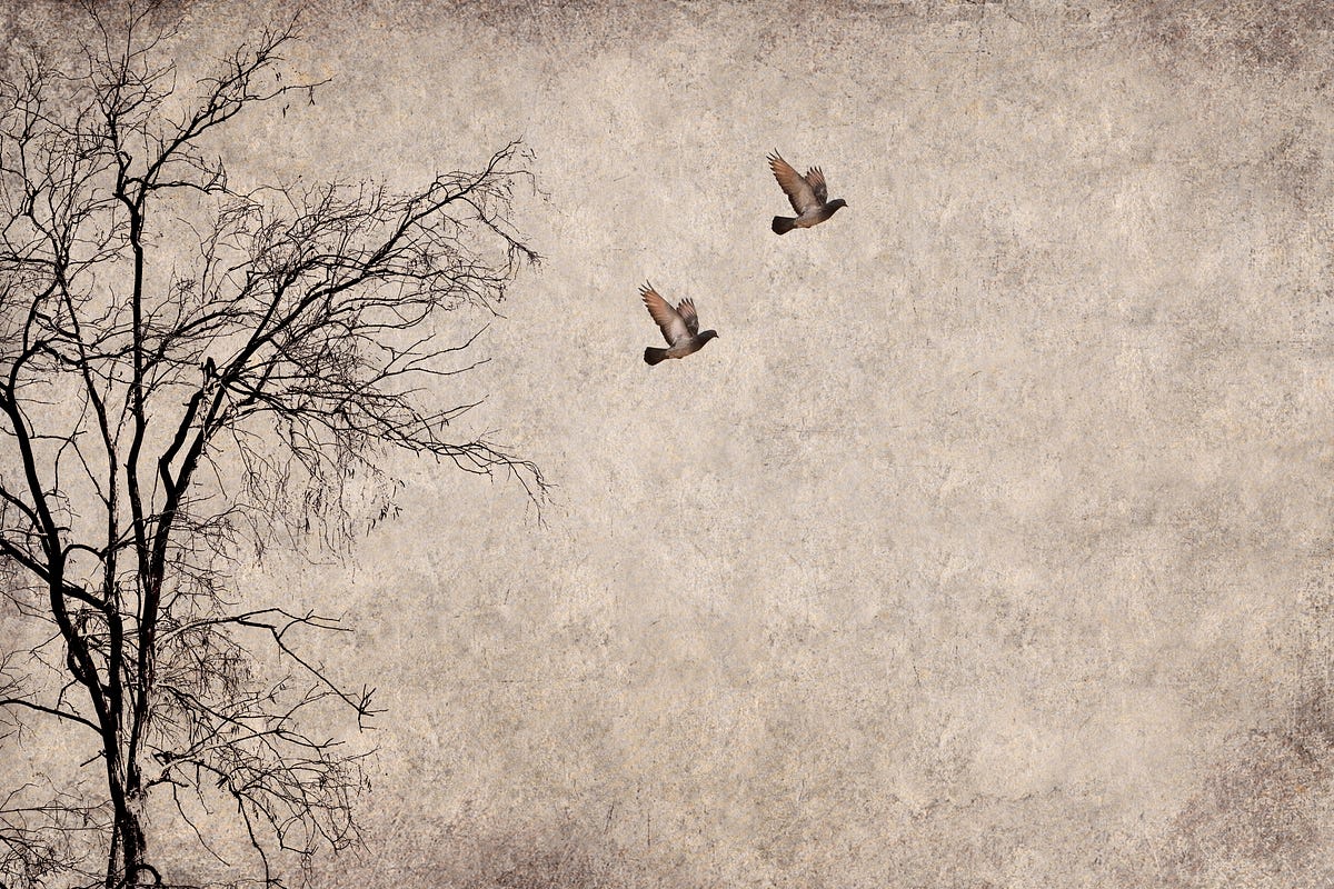 Falling Leaves. November 7, 2019 | by Amber Dawn | Medium