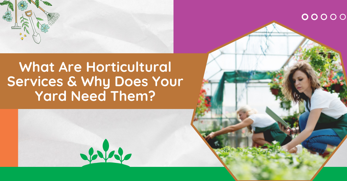 What Are Horticultural Services & Why Does Your Yard Need Them? - Ben ...