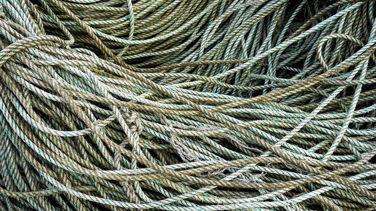 The Tangle of Existence. Can we look at our collective knowledge… | by ...