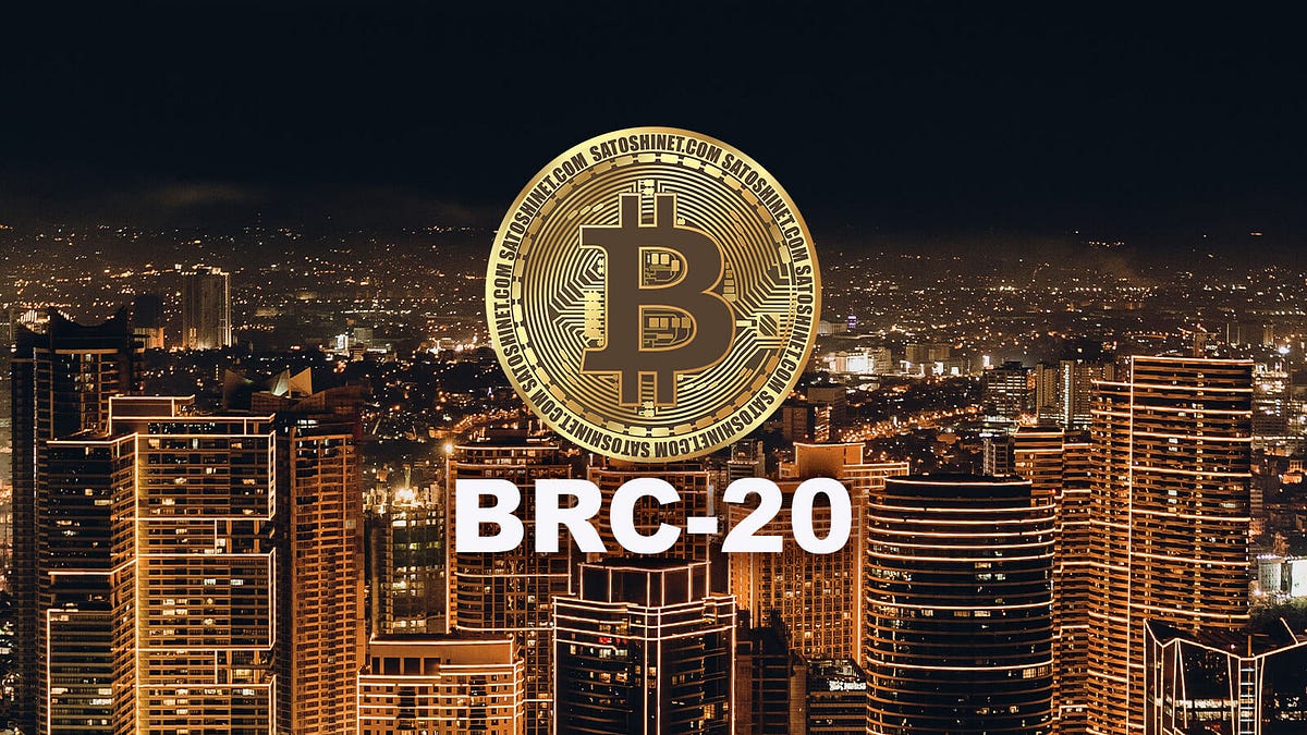 A Comprehensive Guide to BRC20 Staking | by ha1oQ | Jan, 2024 | Medium