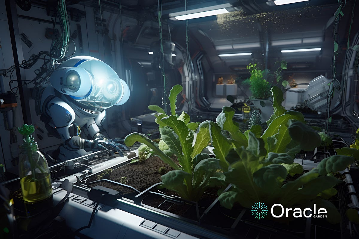 Oracle Garden - ᴏʀᴀᴄʟᴇ ɢᴀʀᴅᴇɴ 🪴 - Medium