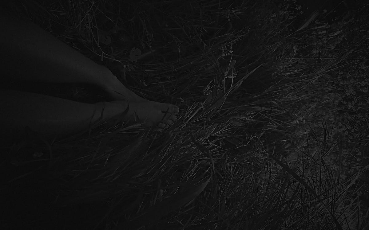 Too Sorry. Too sorry What only Ties Me to you, Turned out to be But Couple trees In the forest ...