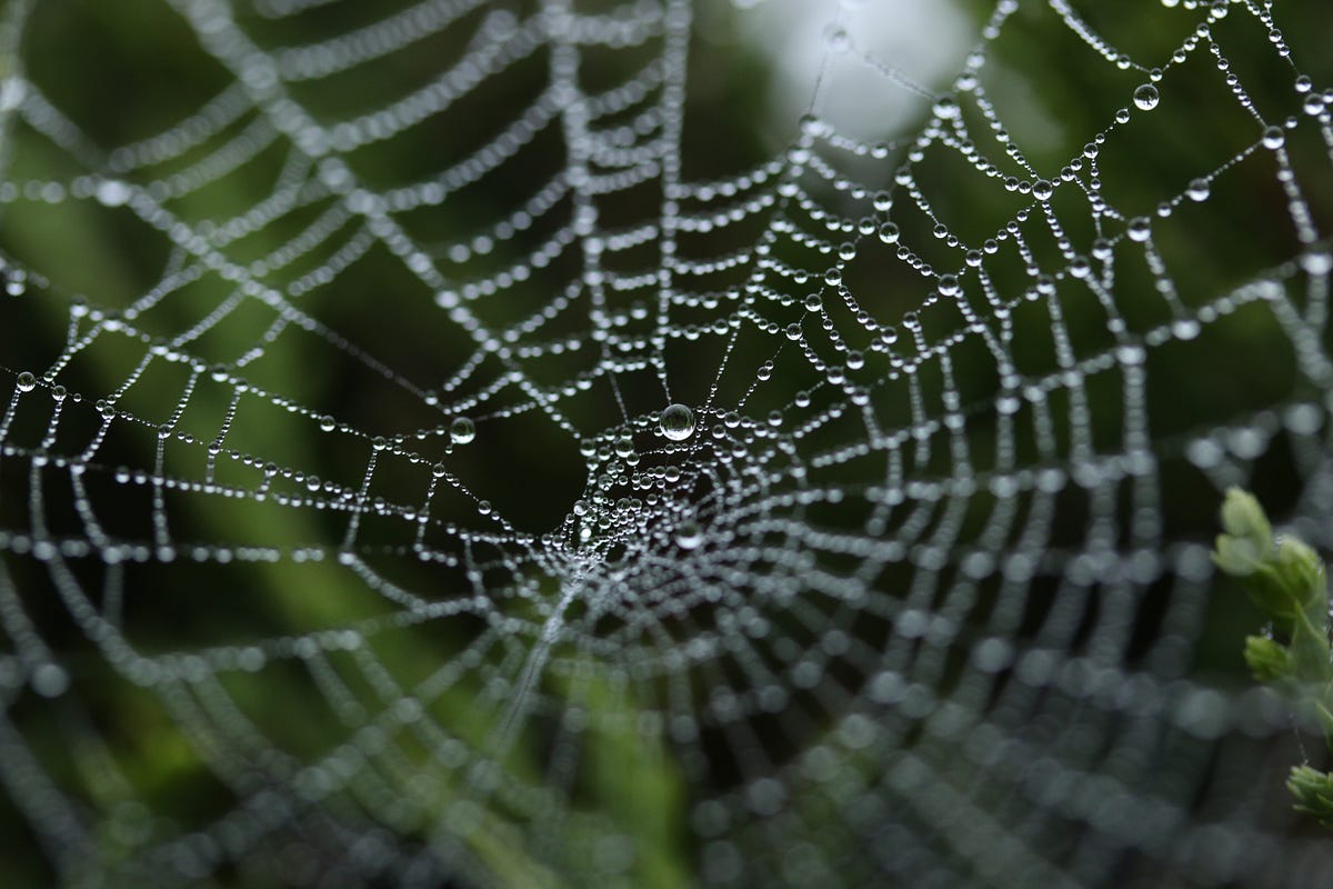 An Introduction to Web Scraping with Node JS | by Brandon Morelli ...